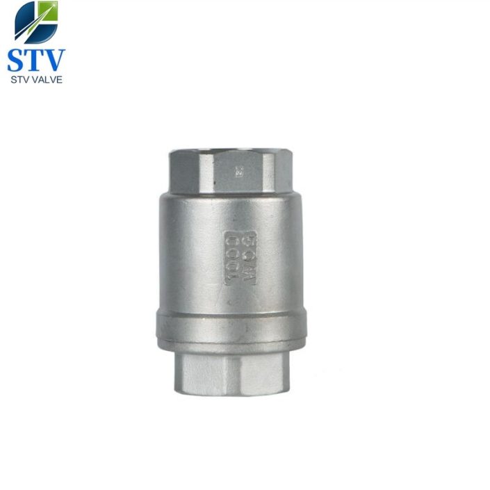 Stainless Steel Screwed Spring Check Valve ,DN40,NPT End - China Valve ...