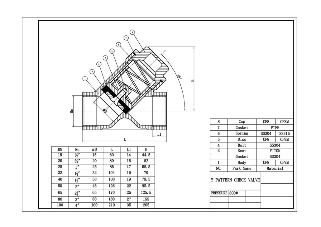 316 Y Type Spring Check Valve,800 Wog,NPT End - China Valve ...