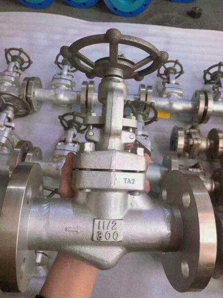 Titanium Alloy TA2 Forged Globe Valve, 1,5 Inch, 300 LB, BB, RF - China ...