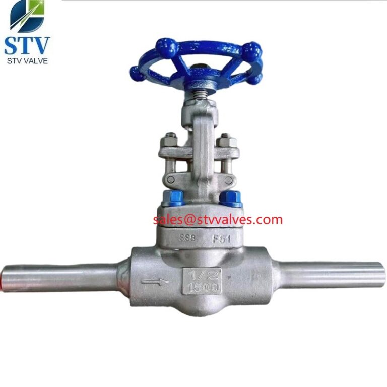 ASTM A182 F51 Gate Valve,DN15,1500LB,BW End - China Valve Manufacturer ...