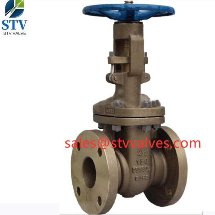 ASTM B148 C95800 Gate Valve,21/2",150 LB, FF End - China Valve ...