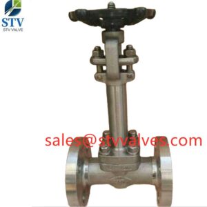Extension Stem Gate Valve,F316,1 Inch,300LB,RF End - China Valve ...