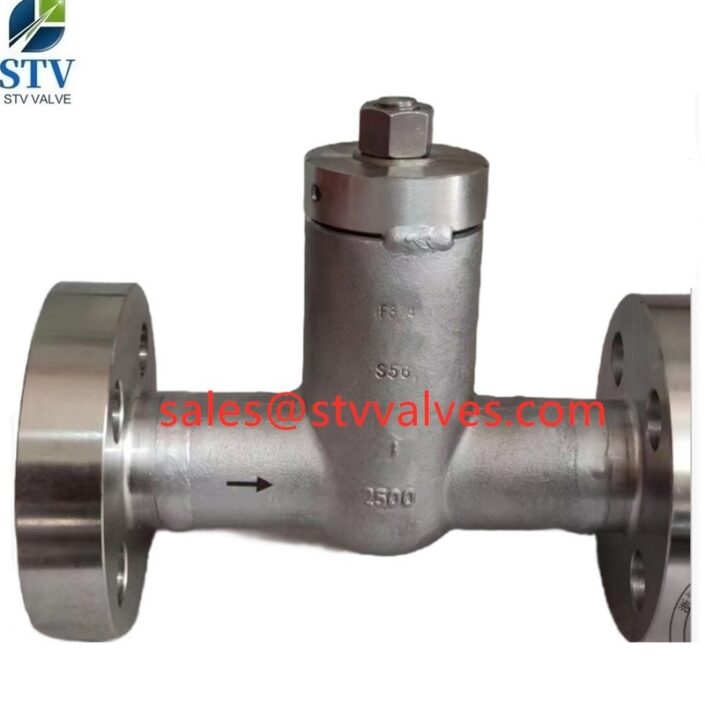 F304 Swing Check Valve,API 602,1 Inch,2500 LB,RF End - China Valve ...